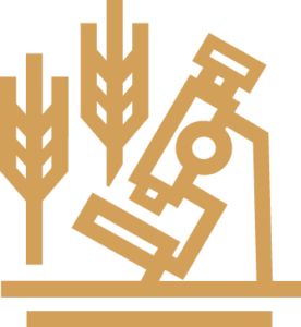 National Wheat Research Priorities – Cereals Canada