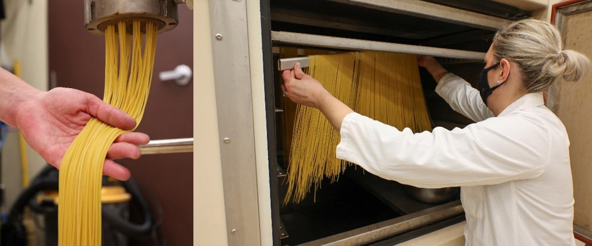 Modifying Pulse Flours Using Extrusion as a Heat Treatment – Cereals Canada