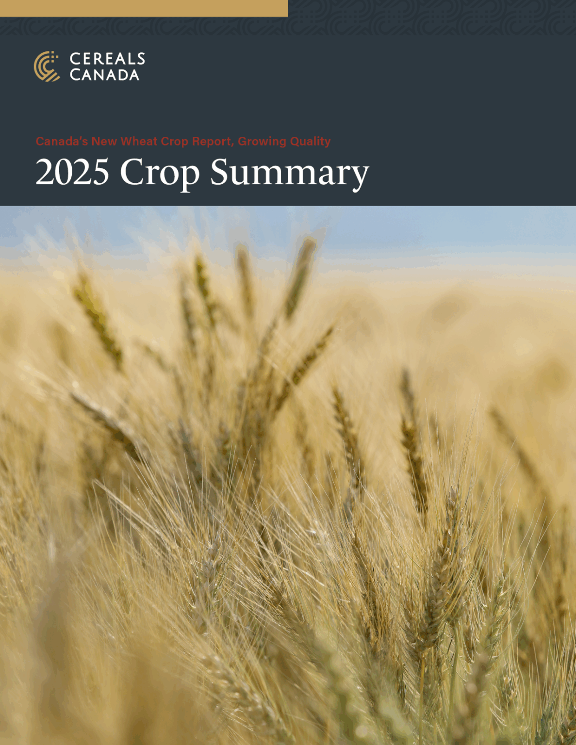 2025 New Crop Report – Cereals Canada