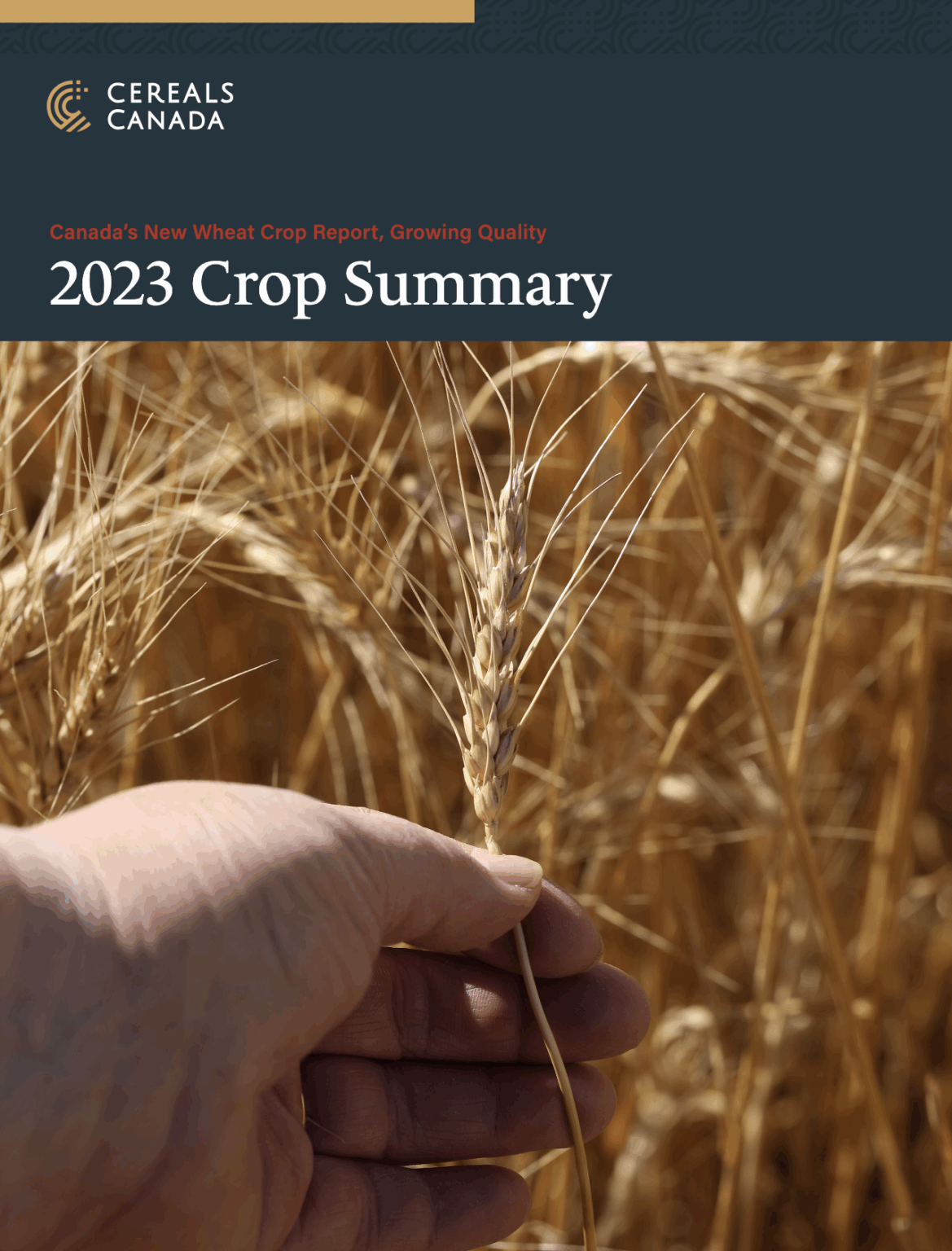 2025 New Crop Report – Cereals Canada